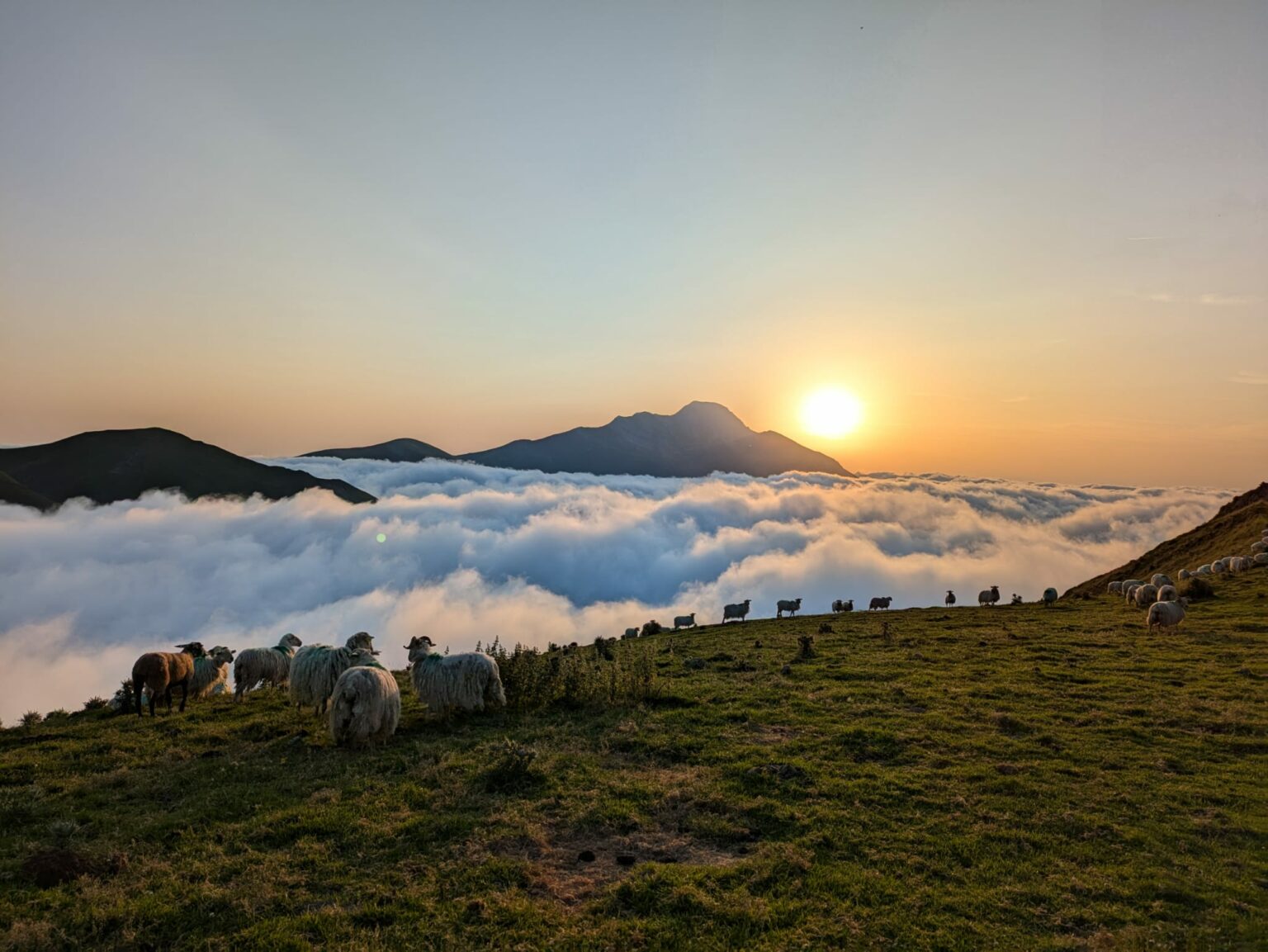 IRATIKO TRIATLOIA - Triathlon d'Iraty